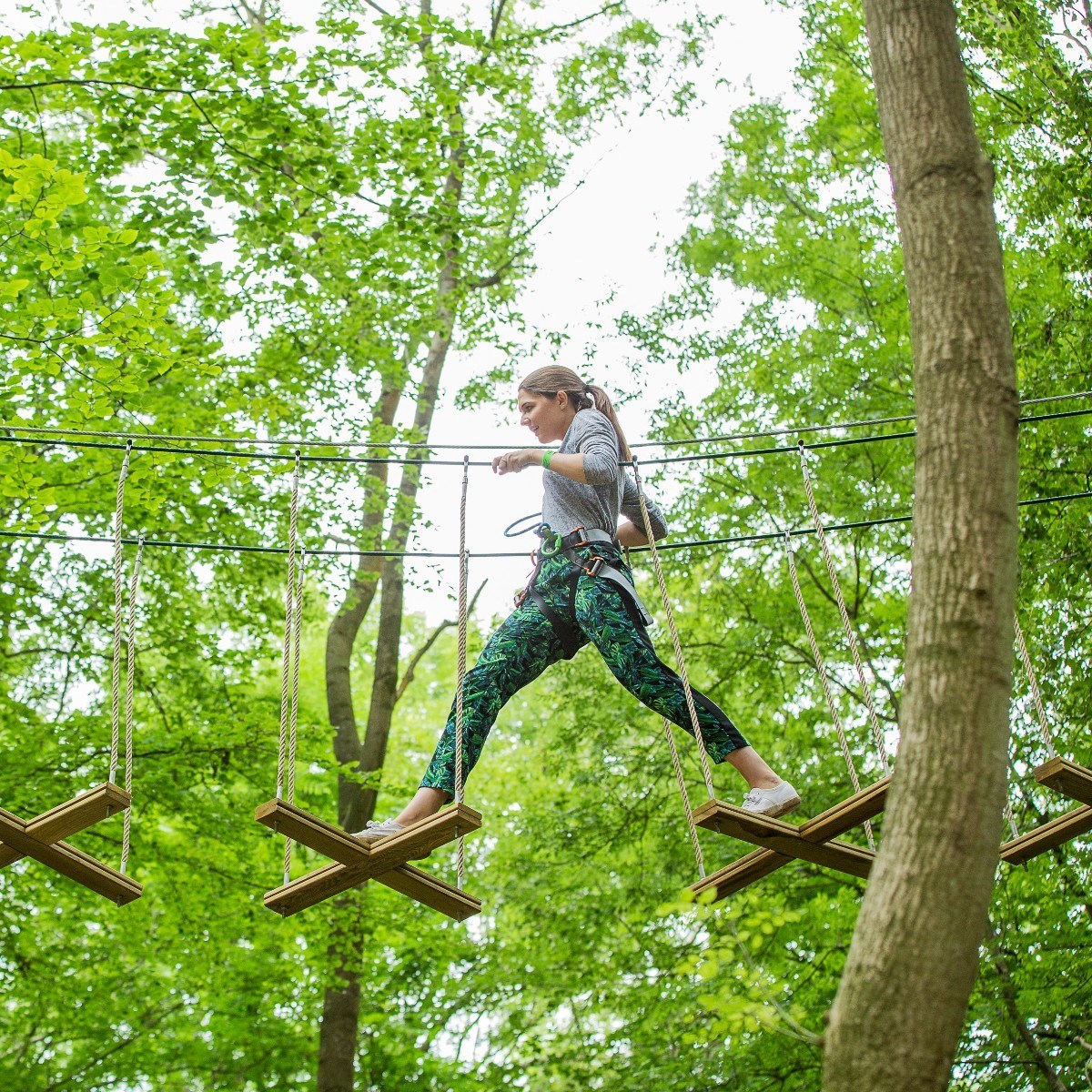 Go: Ape Treetop Challenge Experience Voucher - Staff Social Club at ...