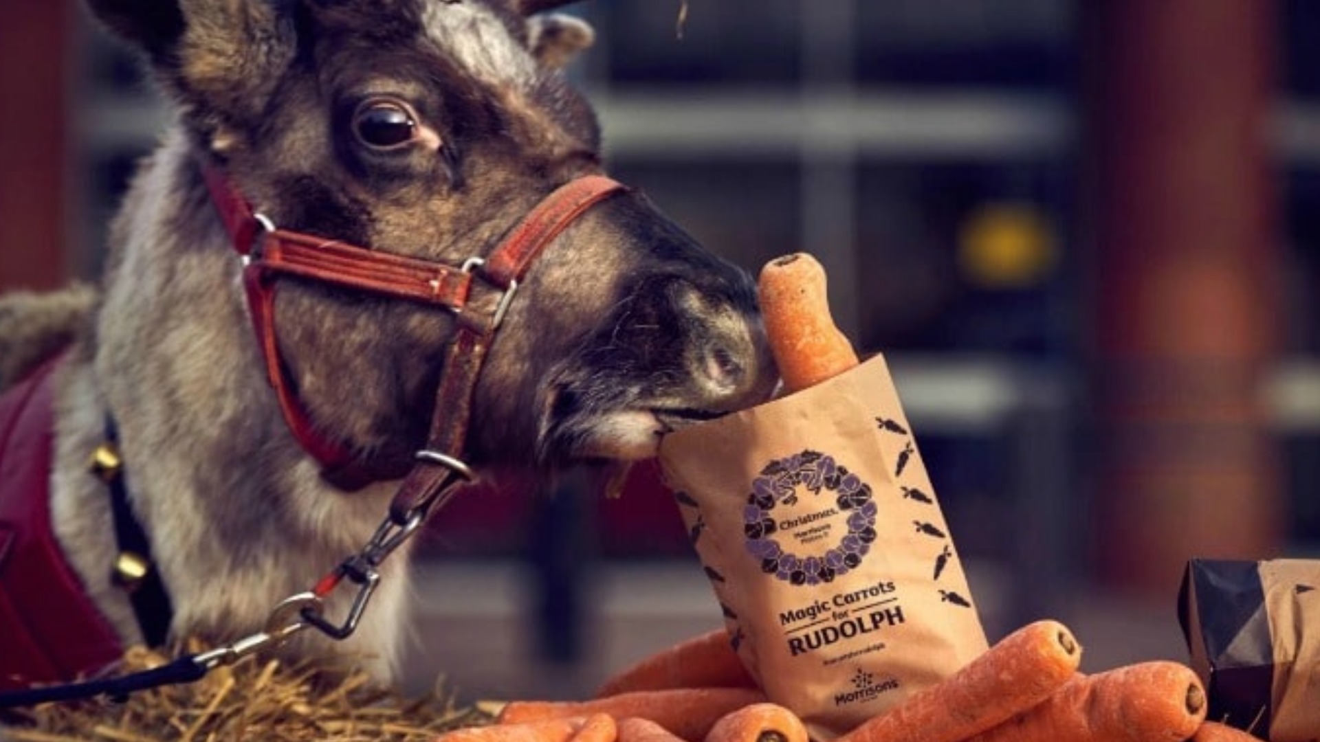 Day 25 - Staff Social Club at Newcastle Hospitals